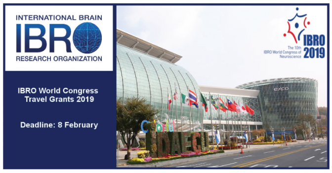 IBRO World Congress Travel Grants 2019 for Neuroscientists