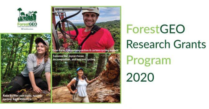 2020 ForestGEO Research Grants Program Call for Proposals is Now OPEN!