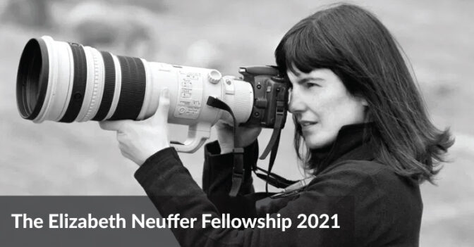 Apply Now! 2021 Elizabeth Neuffer Fellowship
