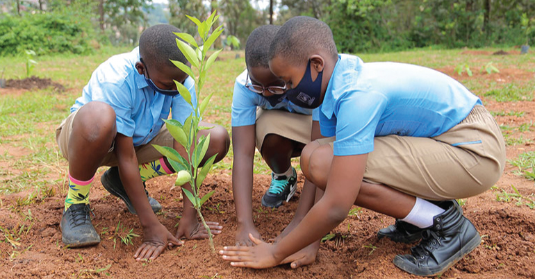 'Plant Trees, Not Plastics' Photo/Video Competition 2021