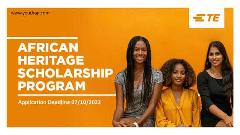 TE Connectivity African Heritage Scholarship Program - Youth Opportunities