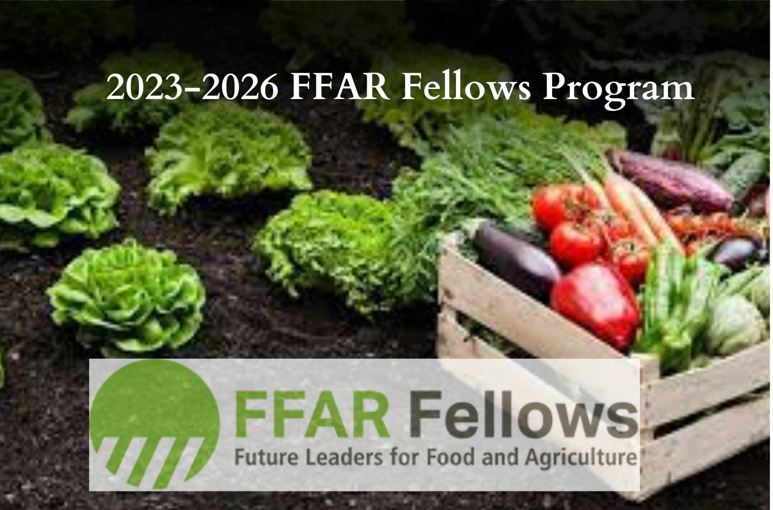 2023-2026 FFAR Fellows Program - Youth Opportunities