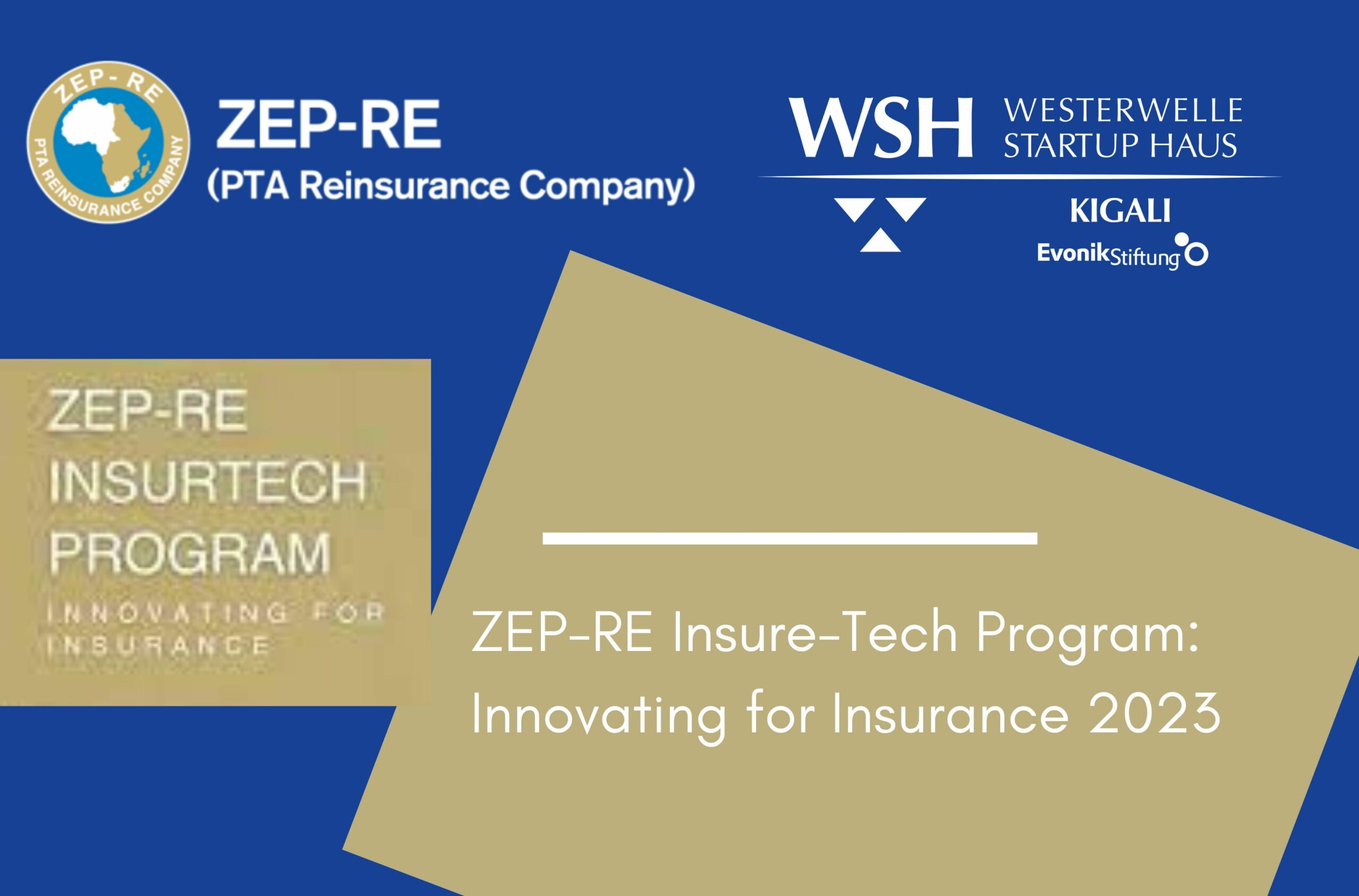ZEP-RE Insure-Tech Program: Innovating for Insurance 2023 - Youth ...