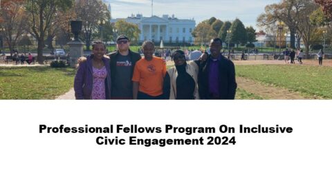 Professional Fellows Program On Inclusive Civic Engagement 2024 - Youth ...