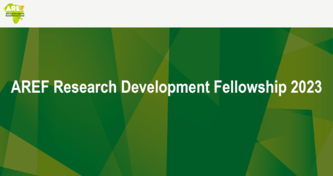 Explore Fellowships Worldwide with Youth Opportunities