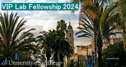 VIP Lab Fellowship 2024 - Youth Opportunities