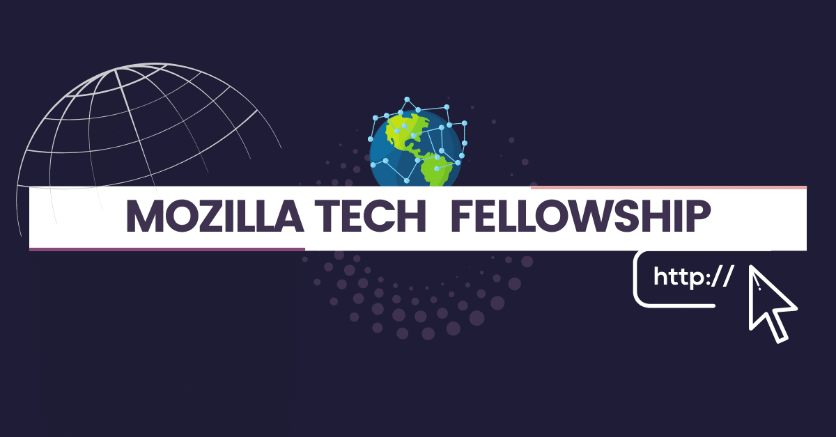 Mozilla Tech + Society Fellowship 2024