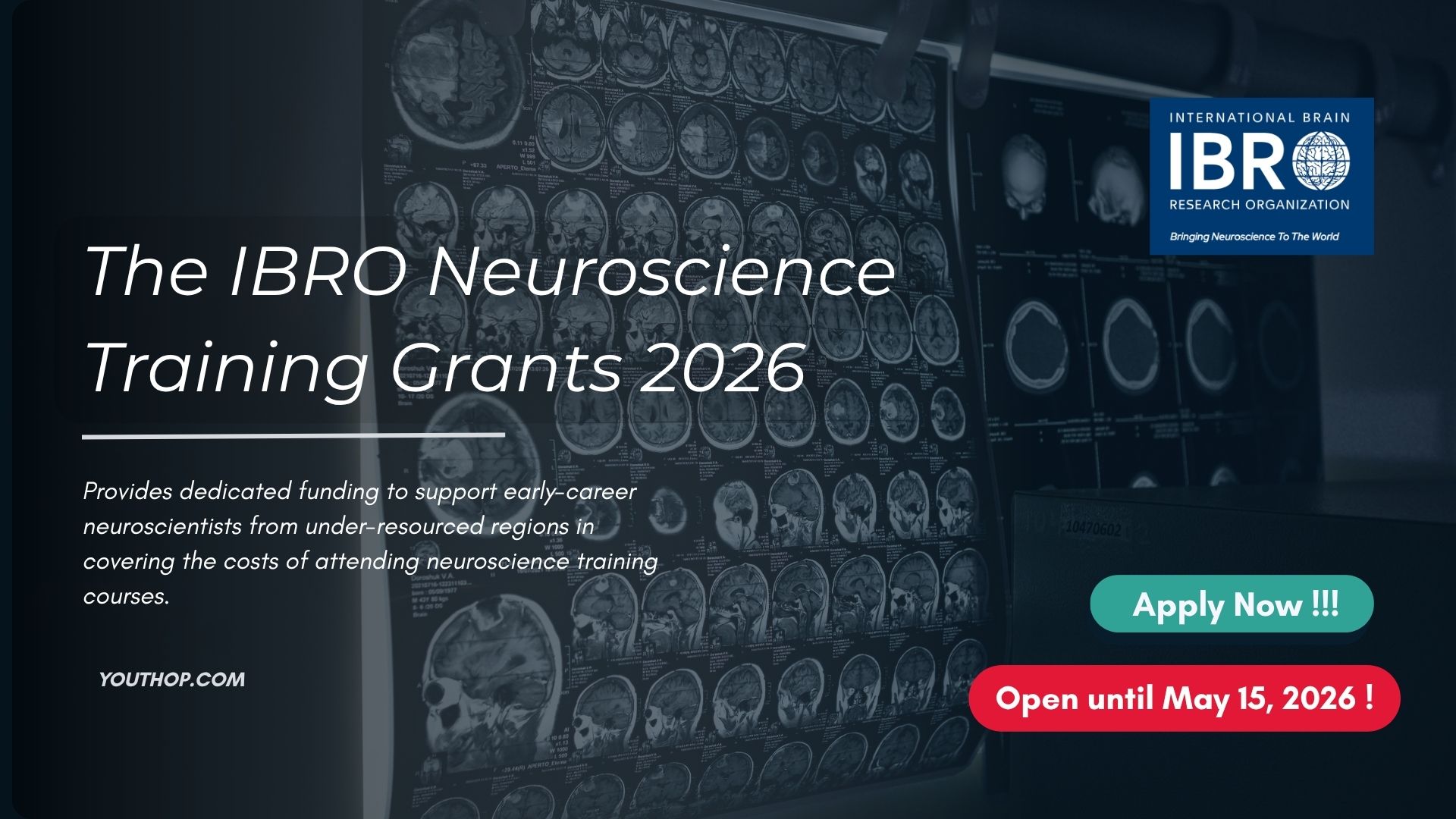 The International Brain Research Org. Neuroscience Training Grants 2026