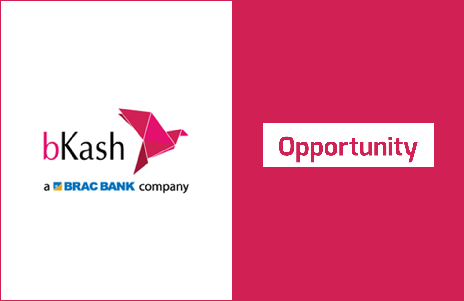 Career Opportunity at bkash Limited - Payment Product